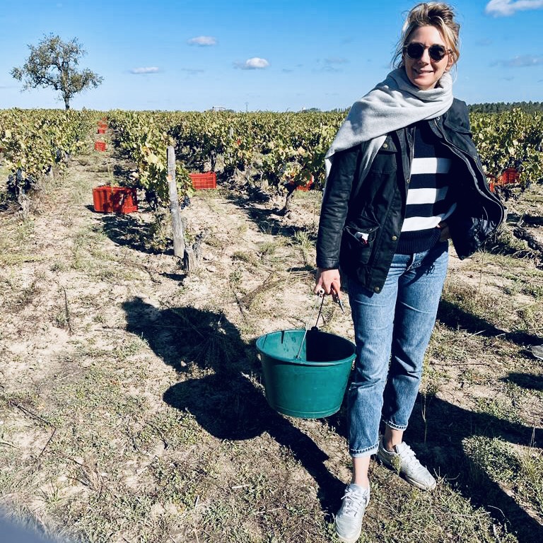 Vignobles de la Touraine